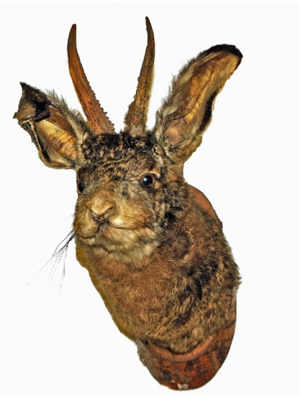 Der Dilldapp, das Wissener Fabelwesen - PENs Journal